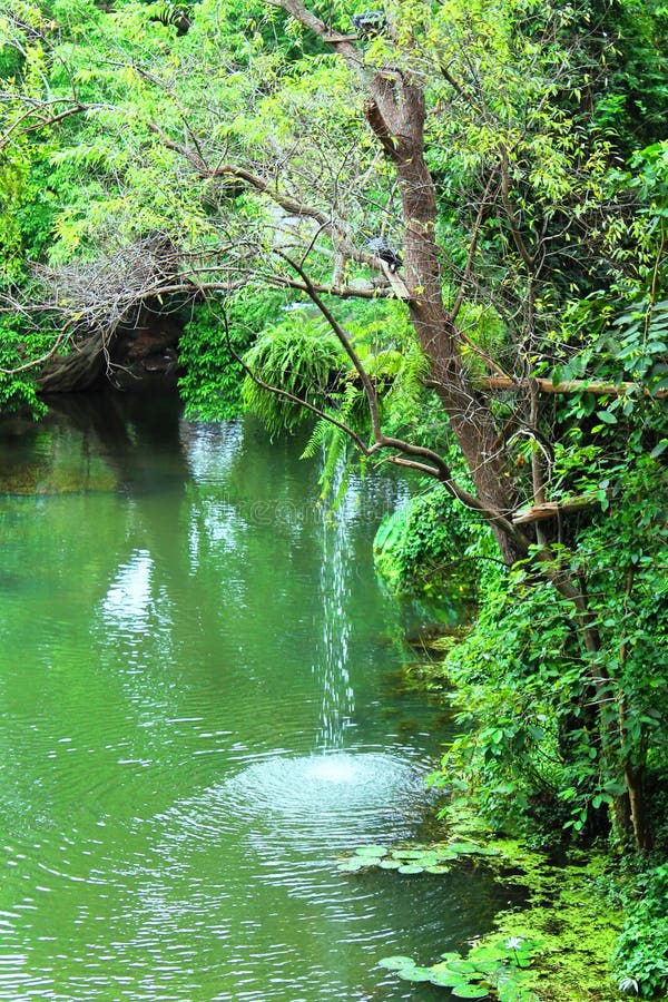 Water flow stock image. Image of field, environment, nature - 84722001
