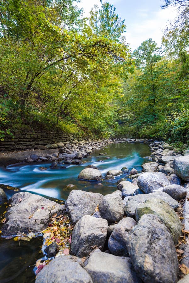 Water flow through forest stock photo. Image of pile - 34706148