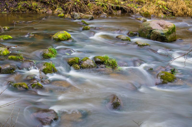Water flow stock image. Image of river, tree, forest - 44288795