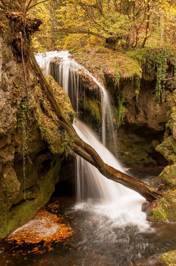 Water flow in the forest stock photo. Image of nera, outdoor - 34903158