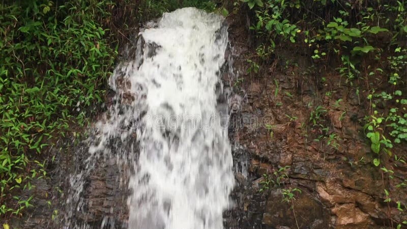 Water flow in garden stock footage. Video of fariming - 295022420