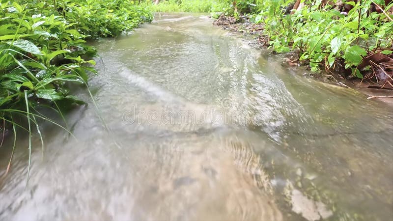 Water Flow from Heavy Rain on the Path Stock Footage - Video of ...