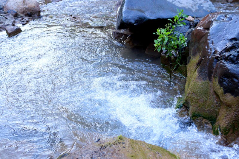 Water Flow - the Flow of Liquid Water Stock Image - Image of beauty ...