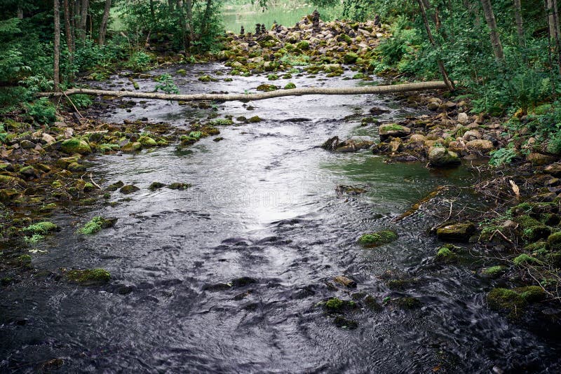 Water Flow in the Northern Forest in Karelia Stock Photo - Image of ...