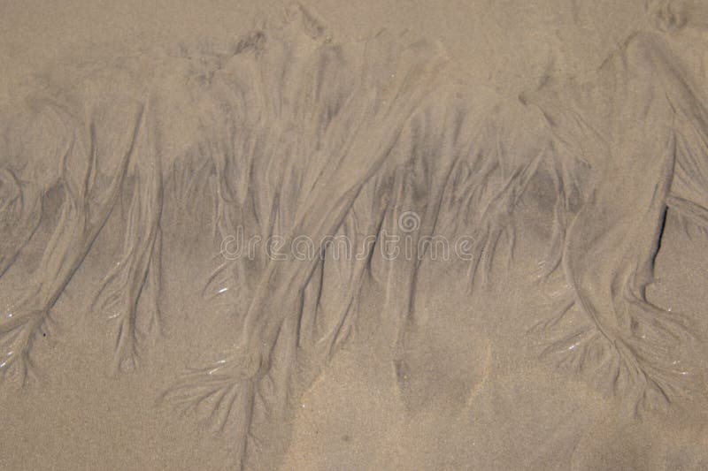 Water Flow Patterns on the Beach Sand Stock Photo - Image of book ...