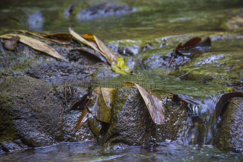Water Flow through the Pebble Stock Image - Image of macro, close: 36221383