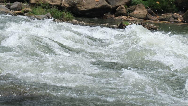 The Water Flow in the River is Clear with a Blend of Small Waves Stock ...