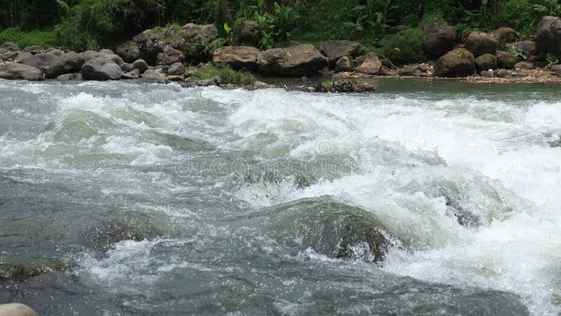 The Water Flow in the River is Clear with a Blend of Small Waves in the ...
