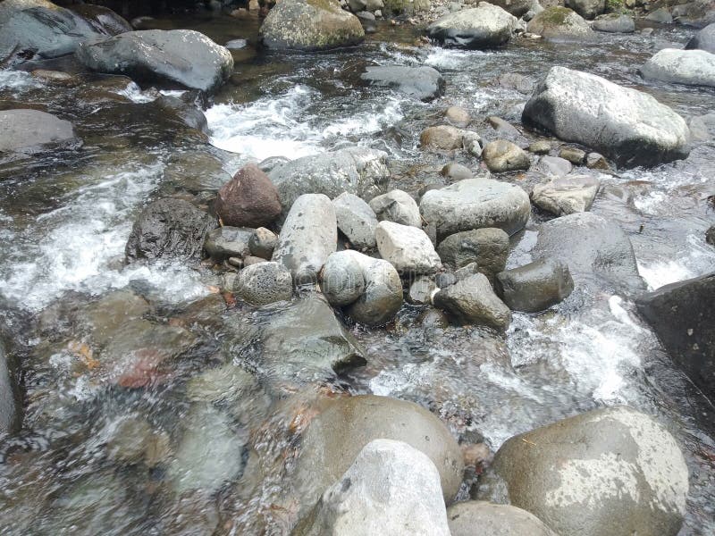 The Water Flow in a River is Clear and Fresh Stock Photo - Image of ...