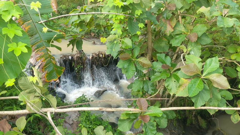 The Water Flow in the River that Forms a Small Waterfall Stock Footage ...