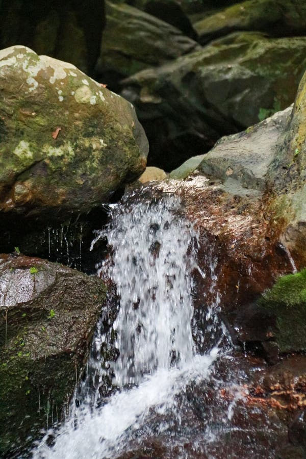 The Water Flow in the River that Passes through the Rocks Stock Photo ...