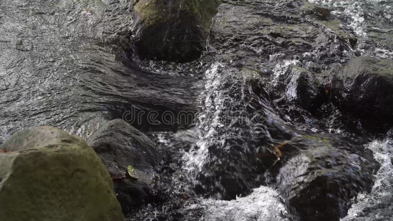 The Water Flow in the River in between the Stones Stock Footage - Video ...