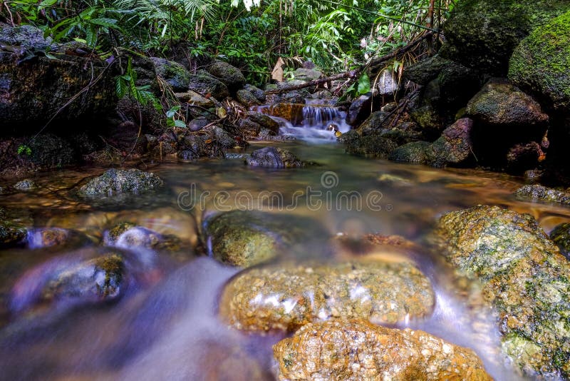 A Water Flow on the River in the Tropical Forest Stock Image - Image of ...