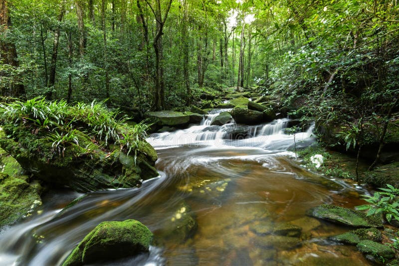 Water flow stock image. Image of blur, placid, indraught - 77064017