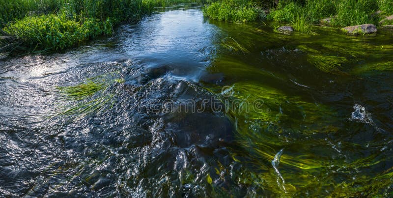 Water Flow on Summer Plain River Panoramic View Stock Image - Image of ...