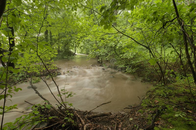 Water Flow after Summer Rain Stock Photo - Image of park, north: 324439668