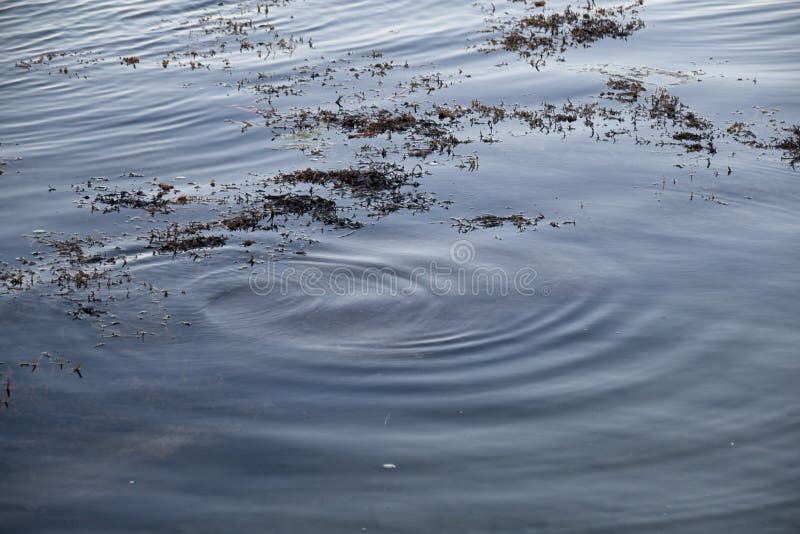 Water Flowing into the Water Stock Photo - Image of reflection, rain ...