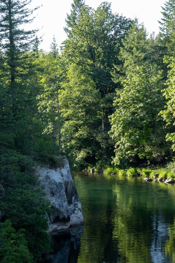 Water Flowing Along Green River in Washington State in Forest Stock ...