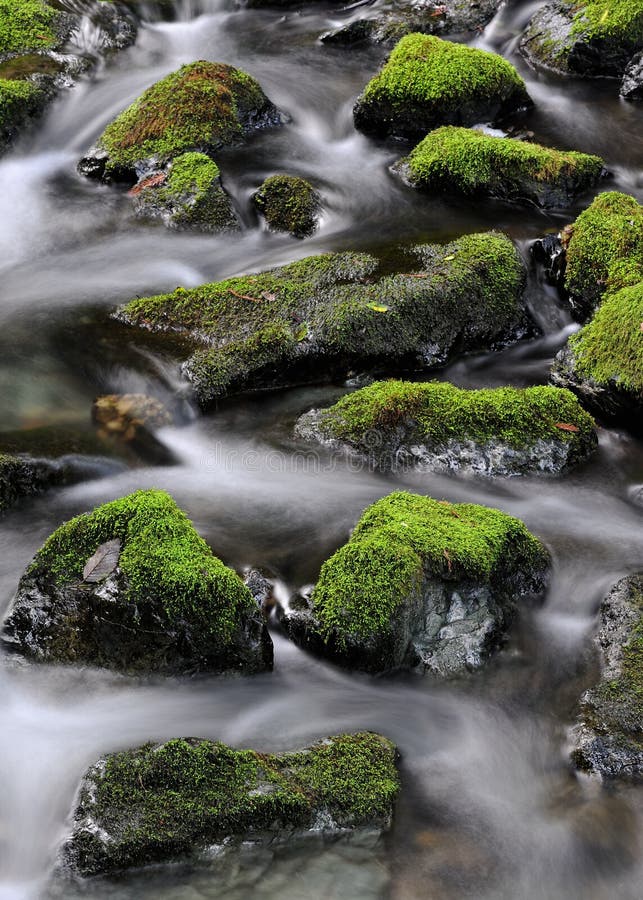 Water Flowing Around Mossy Rocks Stock Image - Image of outside ...