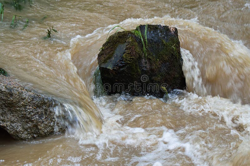 Water Flowing Against Tree Bark Stock Photos - Free & Royalty-Free ...