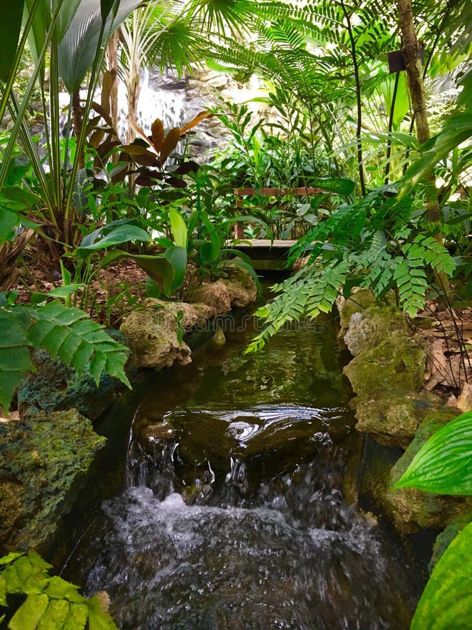 Water flowing down stock image. Image of higher, flow - 79466281