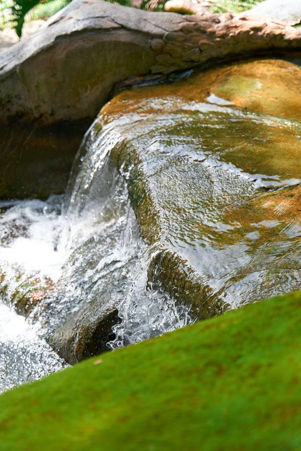 Water Flowing Down the Moss-covered Rocks in the Jungle Stock Image ...
