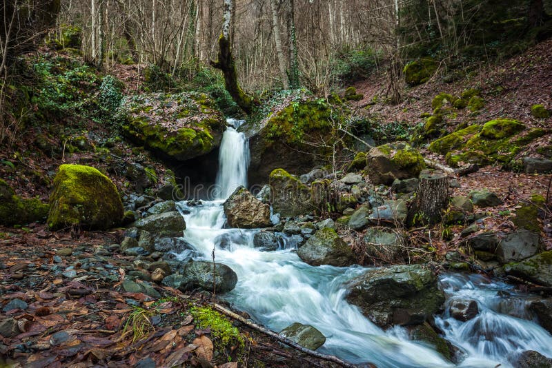 Water Flowing Down Rocks, Moss on the Rocks, Svaneti, Georgia Stock ...