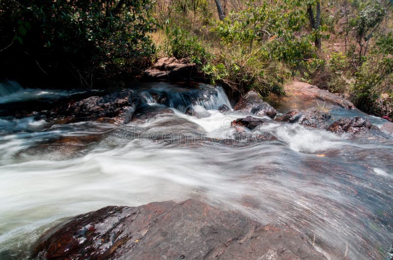 Water Flowing Down a Stream Stock Image - Image of forest, outdoor ...