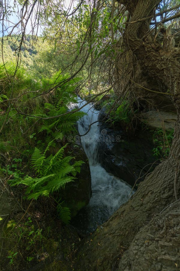 Water Flowing Down a Stream between the Rock Stock Image - Image of ...