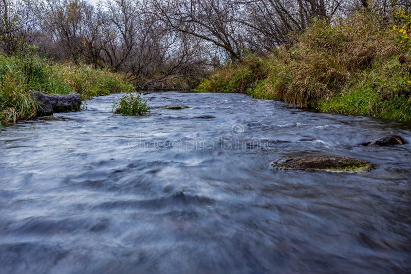 Water Flowing Down a Trout Stream during Autumn Stock Photo - Image of ...