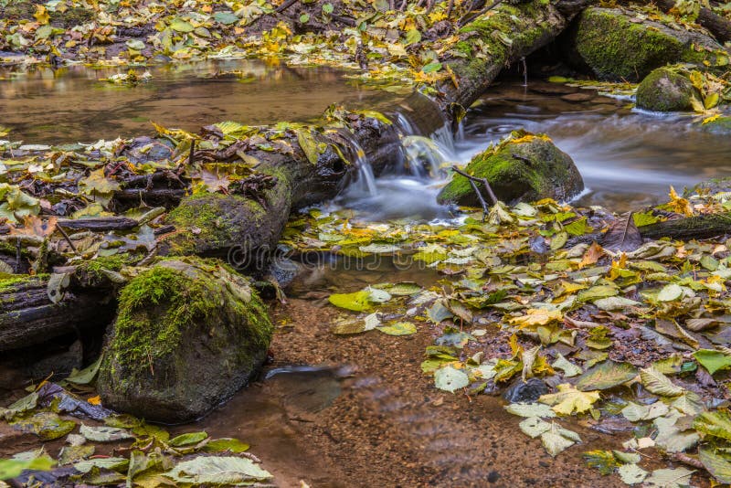 Water flowing, fall leaves stock photo. Image of flowing - 79940626
