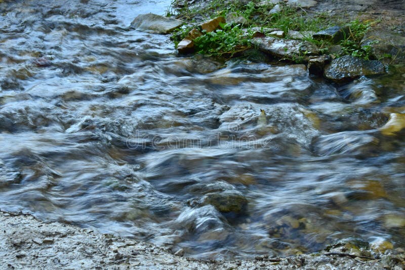 Stream in the Park in Summer Day Stock Image - Image of nature, rapids ...