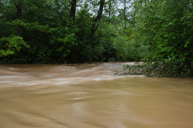 Water Flowing in Its Course through a Forest Stock Photo - Image of ...