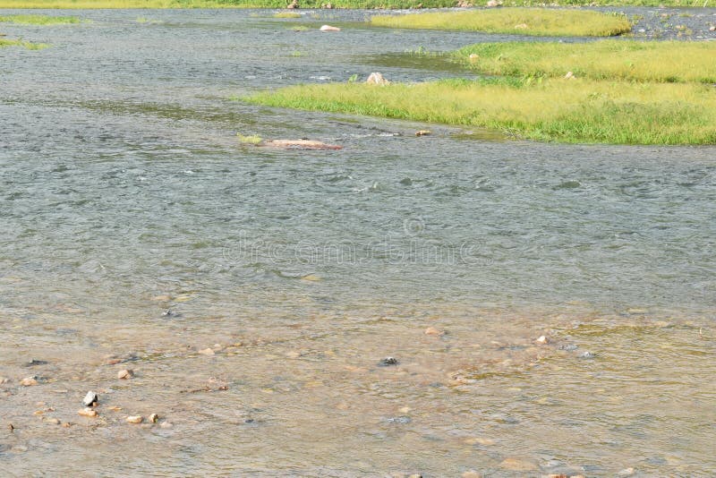 Water Flowing Make Wave and Rippled on River Stock Image - Image of ...