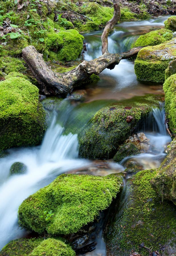 Mossy River Rocks stock image. Image of river, moss, mossy - 1525119