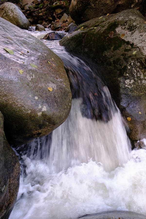Water Flowing Over Rocks in the Forest Stock Image - Image of beautiful ...