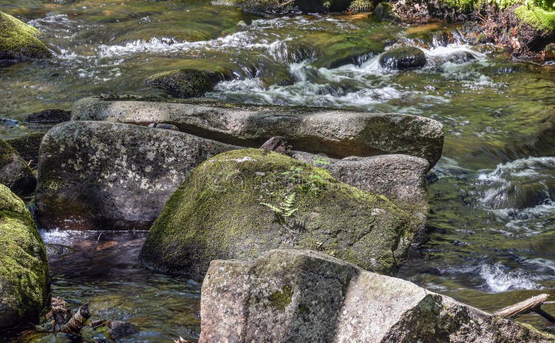 Water Flowing Over Rocks in the Forest of Willard Brook Stock Photo ...