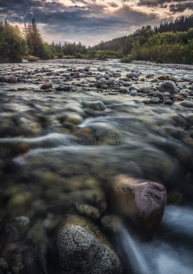 Water Flowing Over the Rocks in the River Stock Photo - Image of ...