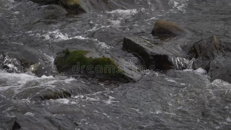 Water Flowing Over Rocks in River Stock Footage - Video of trickle ...