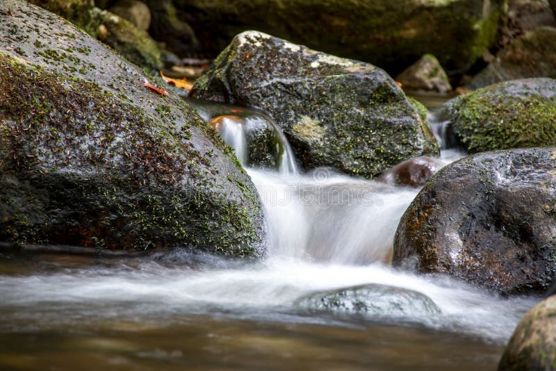 Water Flowing Over Rocks in a Stream Stock Photo - Image of trees ...