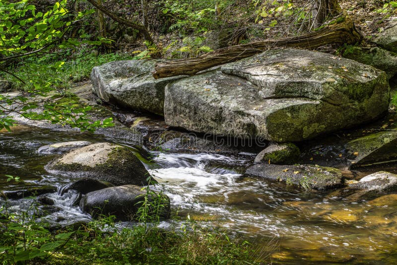Willard Brook Flowing through the Forest Stock Photo - Image of brook ...