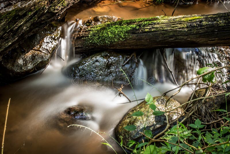 Water Flowing Over and Under Log Covered in Moss Stock Photo - Image of ...