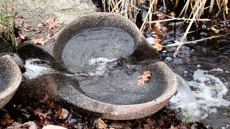 Water Form Fountain Flowing into Pond Stock Footage - Video of flowing ...