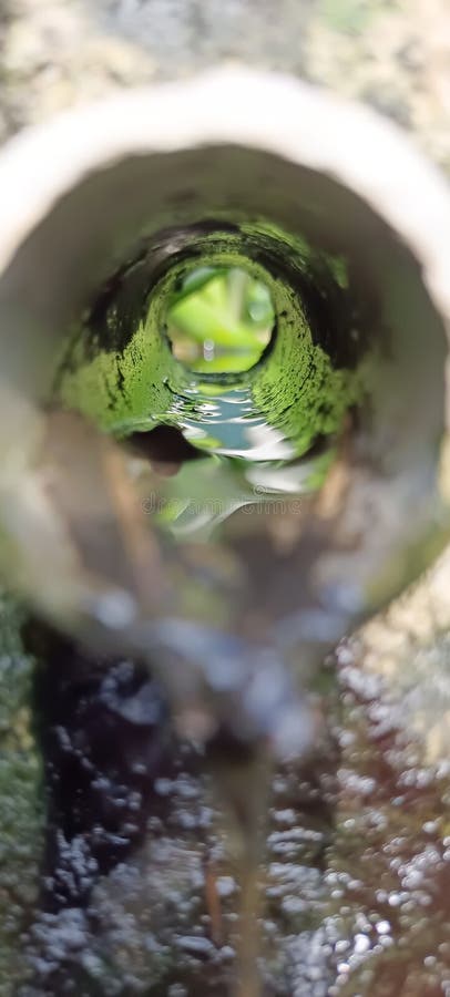 Water Flowing through the Pipe Stock Photo - Image of animal, branch ...