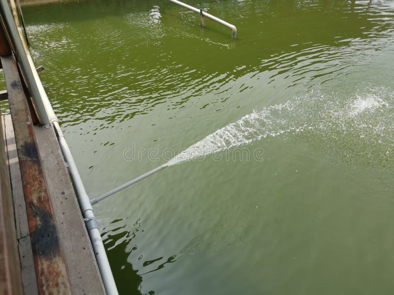 Water Flowing from PVC Pipe Line into the Pond. Stock Photo - Image of ...