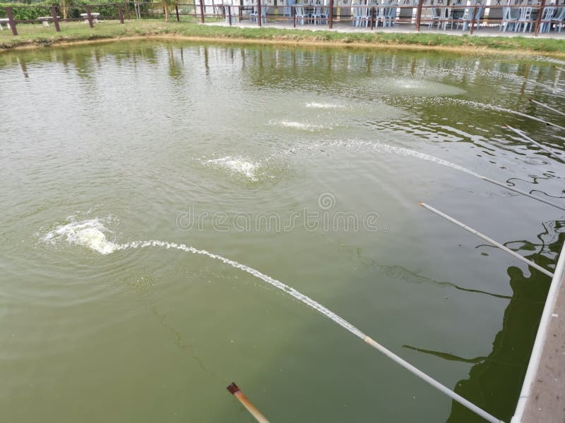 Water Flowing from PVC Pipe Line into the Pond. Stock Image - Image of ...