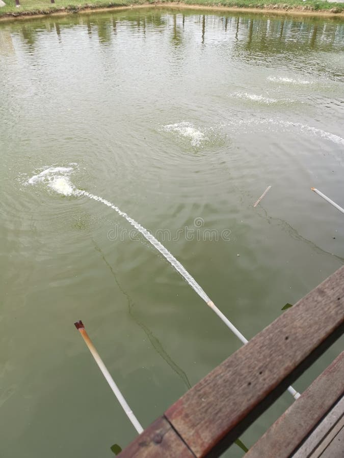 Water Flowing from PVC Pipe Line into the Pond. Stock Photo - Image of ...
