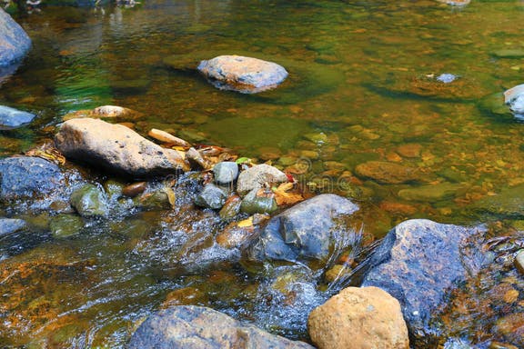 Water Flowing through Rock, Pebbles in Stream and Forest Stock Photo ...