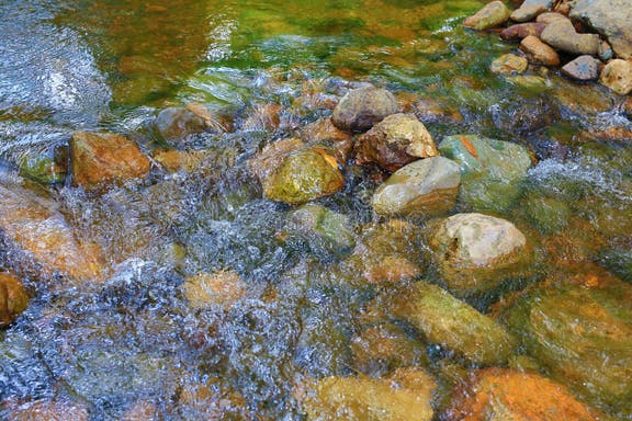 Water Flowing through Rock, Pebbles in Stream and Forest Stock Photo ...