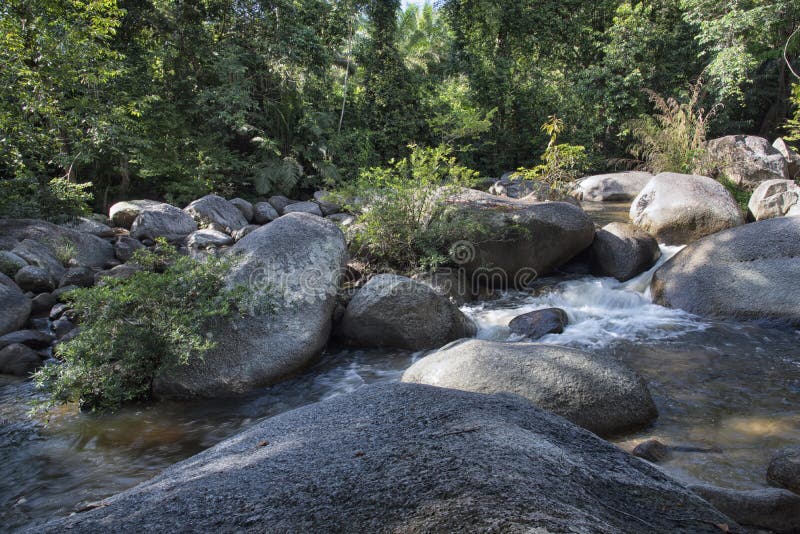 Water Flowing through the Rocky River Stream in the Forest. Stock Image ...